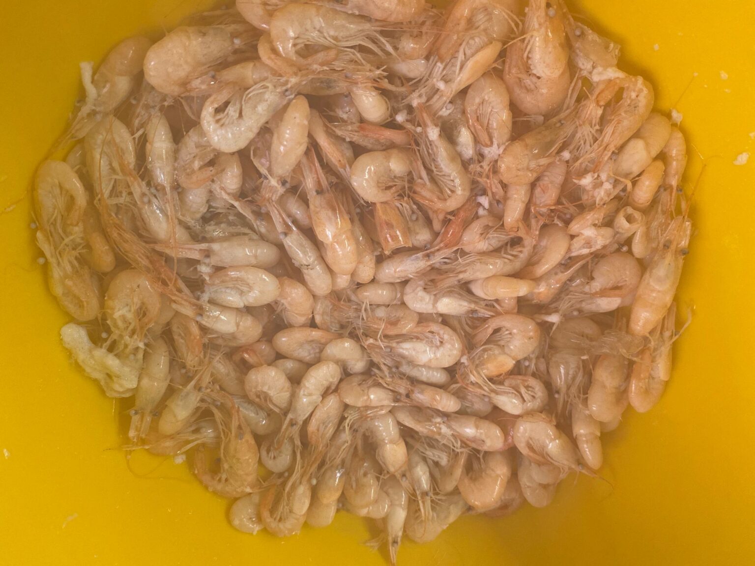 Schie e polenta | Ricette di pesce