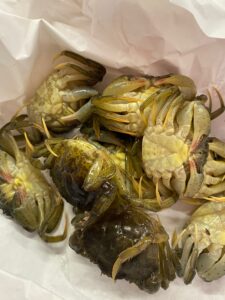 Moeche fritte alla veneziana | Ricette di pesce