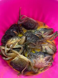 Moeche fritte alla veneziana | Ricette di pesce