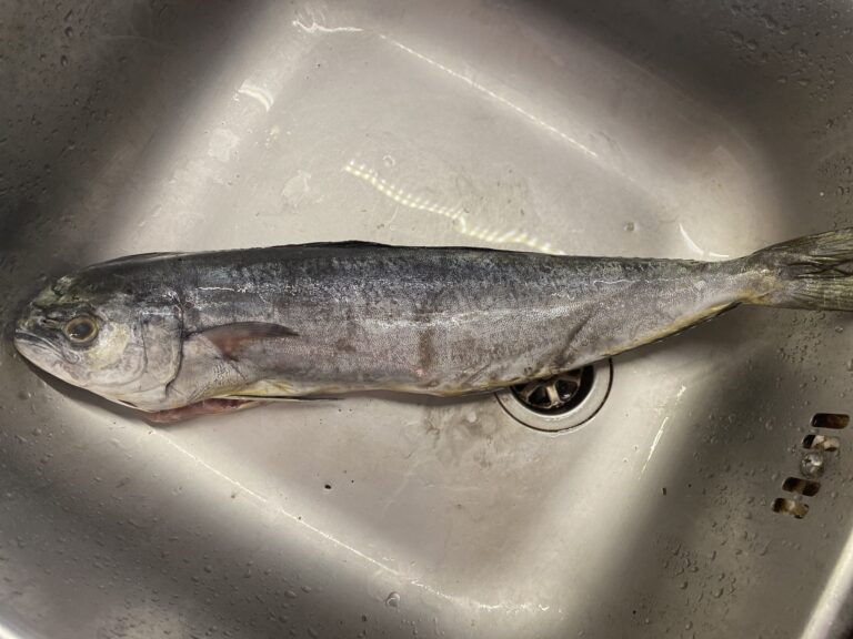 Lampuga in padella con pomodorini e timo - Ricette di pesce