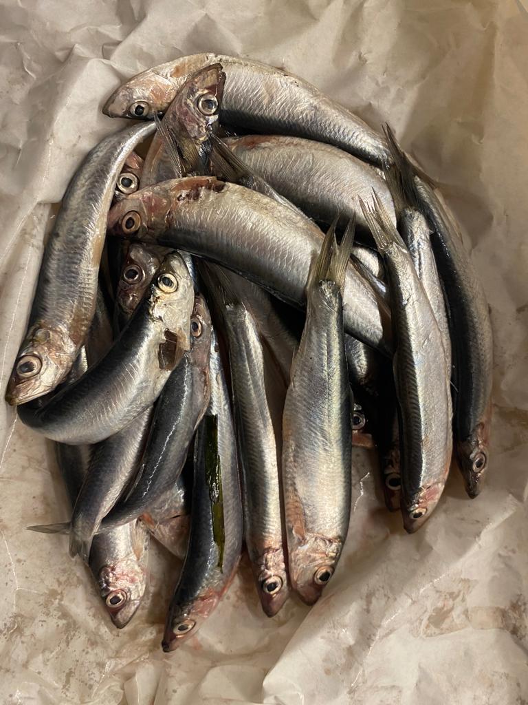 Papaline fritte - Ricette di pesce