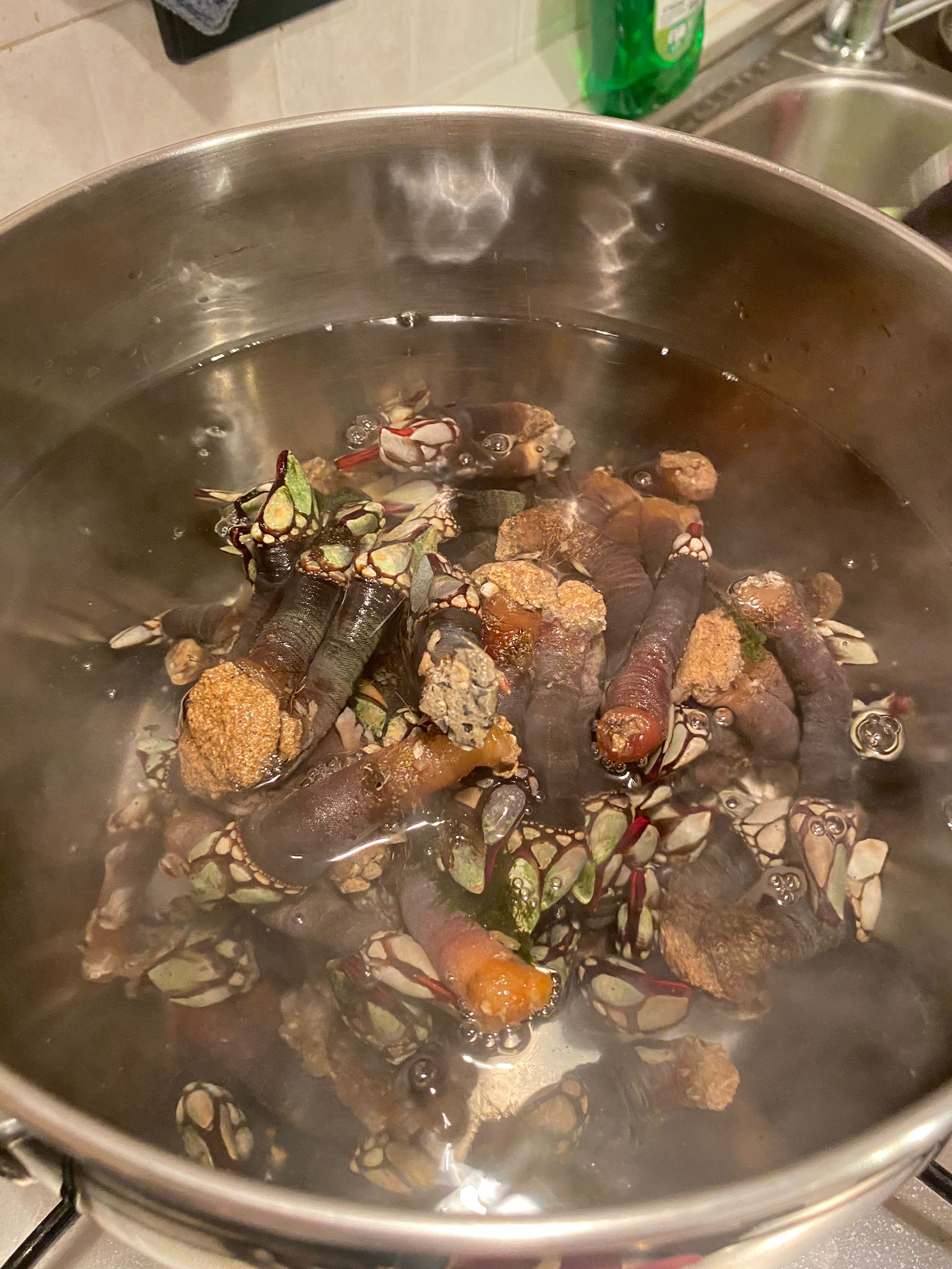 Percebes | Ricette di pesce